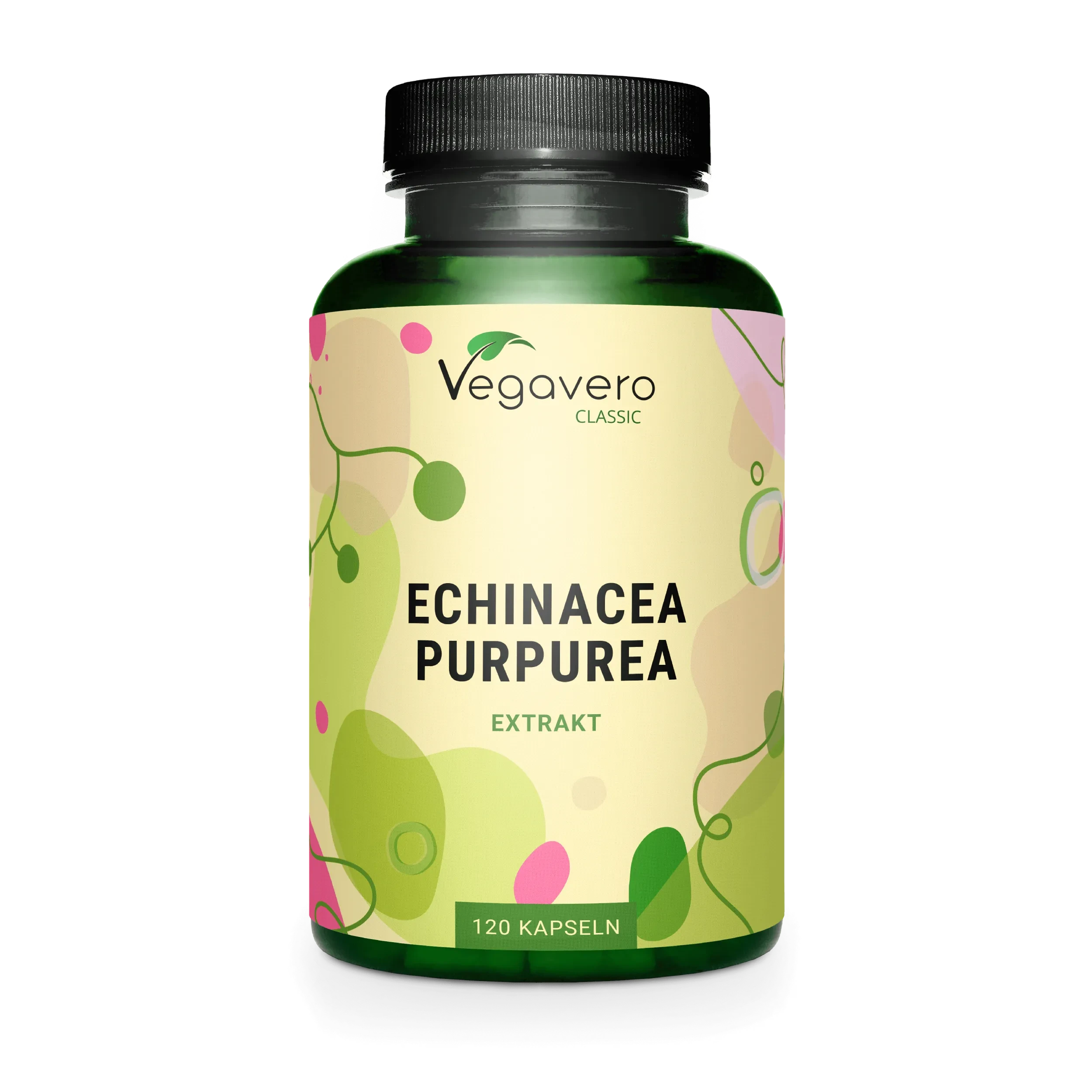 Echinacea Extract | 120 Capsules | Standardized to 4% polyphenols